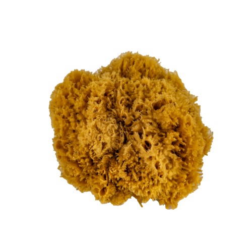 SPONGE NATURAL – Warner Tool